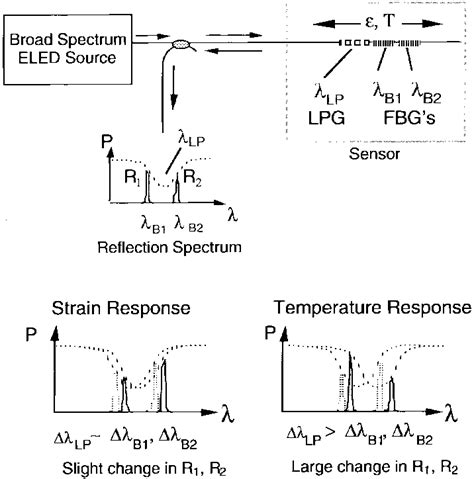 Schematic Of Hybrid Fbg Lpg Sensor For Simultaneous Strain And Download Scientific Diagram