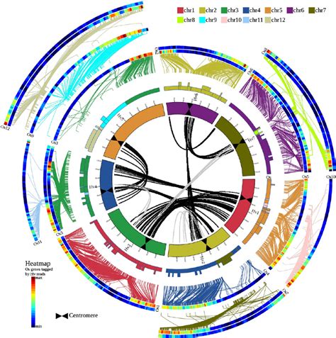 High Resolution Comparative Analysis Between Barley And Rice