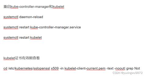 使用 kubeadm 进行证书管理 kubeadm certs renew csdn博客
