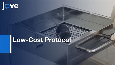 Footprint Analysis And Hanging Box Test For Mice Applied Chronic