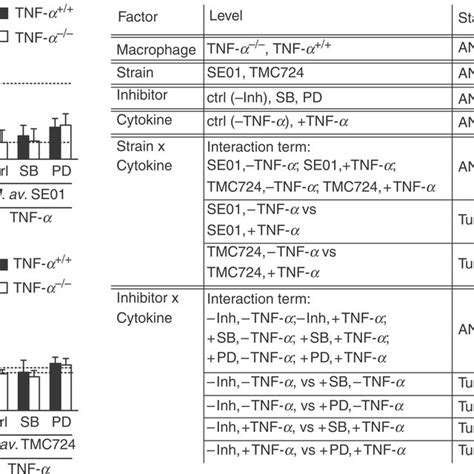 The Influence Of Tnf α On M Avium Infection In Murine Macrophages And Download Scientific
