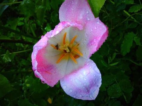 Червень стане найсприятливішим місяцем для 4 знаків Зодіаку Вони отримають неймовірні подарунки