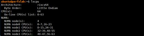 Risc V公测平台发布 · Stream带宽完整测试risc V Gstreamer Csdn博客