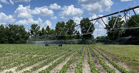 Soybean Water Use 101 Science For Success