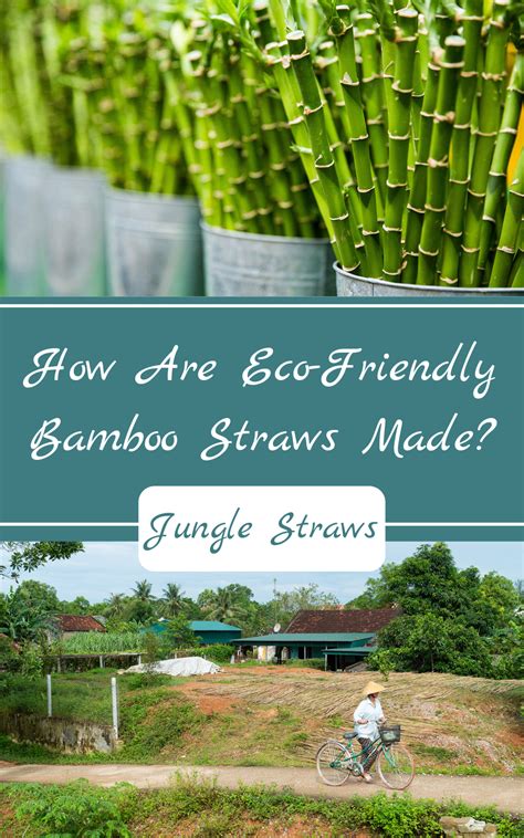 Discover The Art Of Crafting Eco Friendly Bamboo Straws