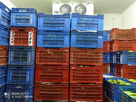 3000 Solar Vegetable Cold Storage At ₹ 600000piece In Samrala Id