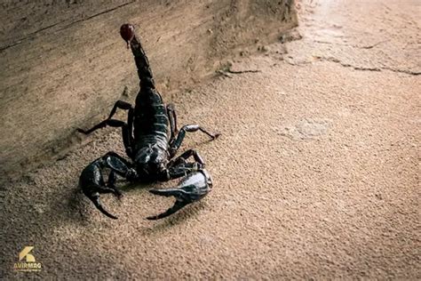 کویر لوت کجاست؟ آشنایی با اسرار دشت لوت