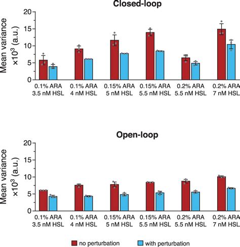 Application Of A Negative Perturbation Reduces The Output Variance Of