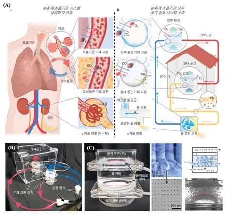 필터 교체 필요없는 친환경 공기 정화 시스템 개발 헬스코리아뉴스