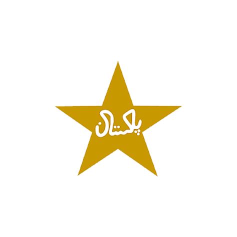 Mohammad Amir Stats Age Profile Records Birth Date Batting Bowling Style And Full Career Info