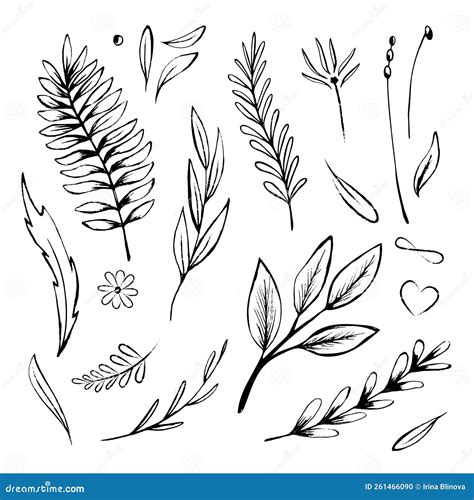 Set Of Leaves Leaves Decor Illustration Freehand Sketch Sketch Stock