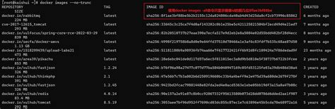 【linux Docker】docker常用命令linux下docker命令 Csdn博客