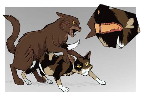 Rule 34 Bodily Fluids Clawface Warriors Doggy Style Domestic Cat