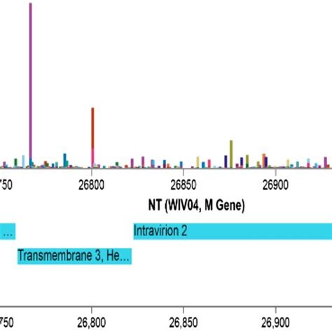 Mutation Rate Of M Gene Of Sars Cov 2 Virus Download Scientific Diagram