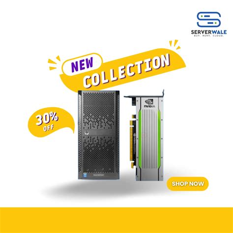 NVIDIA NVS 300 Graphics Card Serverwale