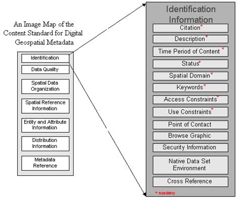 Identification Information