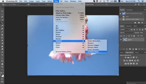 Best 4 Tools To Fix Fuzzy Photos 2025 Update