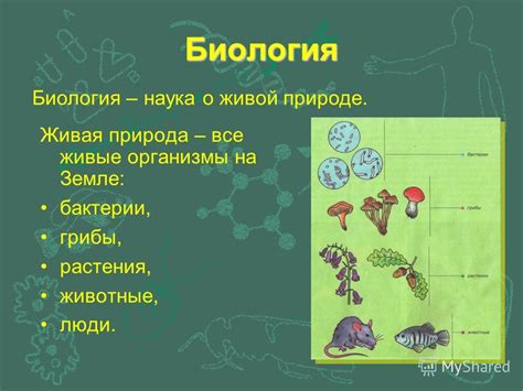 Биология 5 Класс Картинки – Telegraph