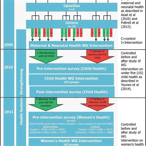 Study Process And Timeline Download Scientific Diagram