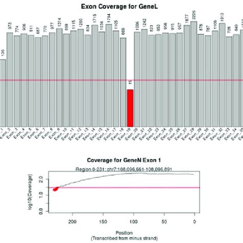 sections from a coverage report a representation of exon coverage