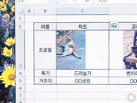 엑셀 이미지 셀에 배치하기 그림 정렬 및 크기 조정 꿀팁 네이버 블로그 엑셀 이미지 셀에 배치하기 그림 정렬 및 크기 조정 꿀팁 네이버 블로그