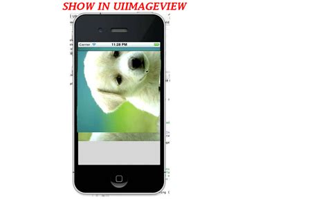 Ios How To Avoid Bad Orientation Showing Picture Then Use Uiimagepickercontroller Stack