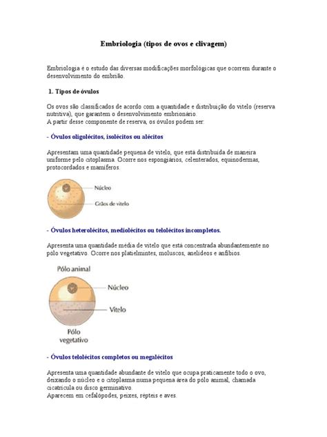 Embriologia Tipos De Ovos E Clivagem Pdf Ovo Gema