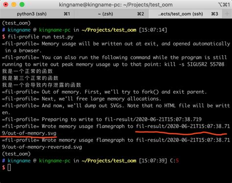 如何调试Python 程序的内存泄露问题 python 内存泄露