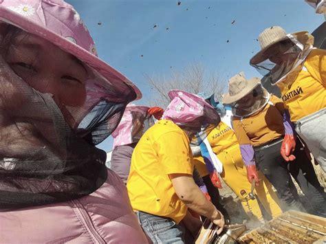 Хөдөөний хүүхэн On Twitter Хантай зөгийн аж ахуй нь Булганы ХАА н МСҮТ ийн Зөгийчин зөгийн