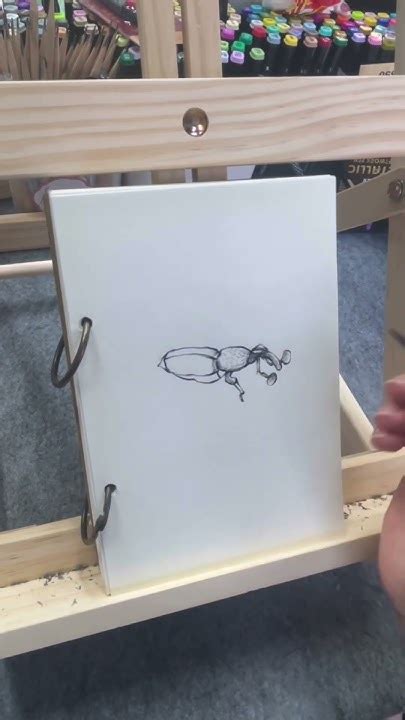 动物系列p71 动物。 Entertainment Art Game Sketch Shortsdog Animals