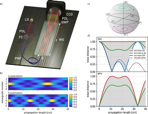 Tracing Information Flow From Open Quantum Systems Dziewior Laser