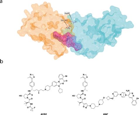 A Two Faced Selectivity Solution To Target Smarca2 For Cancer Therapy Pmc