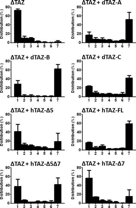 Transgenic Expression Of Tafazzin Isoforms In Taz Drosophila Imprecise
