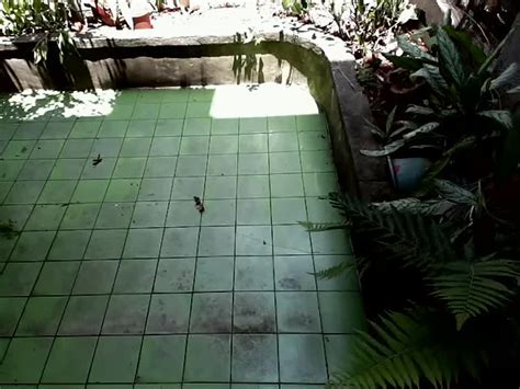 Adam Liu On Linkedin Tensorflow Raspberrypi Dash Flask