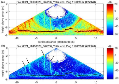 Automated Filtering Of Multibeam Water Column Data To Detect Relative Abundance Of Giant Kelp