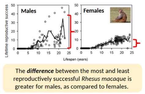 Reproductive Behavior Sexual Selection Flashcards Quizlet