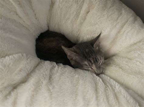 Javascript 이모저모 Javascript 이모저모