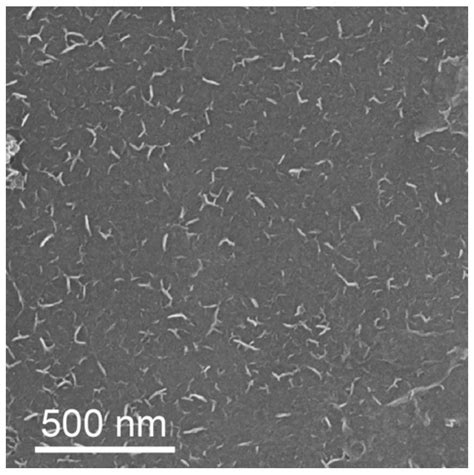 Transition Metal Nanoparticle Catalyst Coated With Graphitized Carbon Layer And Preparation
