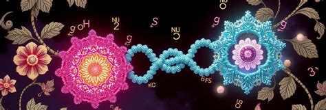 Enzyme Action Models Quiz