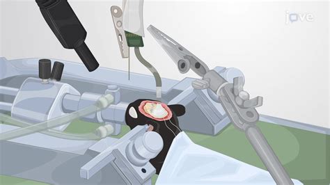 Recording Brain Electrical Activity In Behaving Mice Using Multi Shank