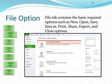 Computer Skills Excel2010 2 PPT