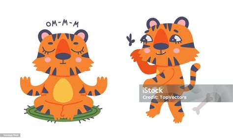 다양 한 포즈를 취한 귀여운 아기 호랑이 재미 있는 오렌지 줄무늬 정글 살쾡이 명상과 만화 벡터 일러스트 레이 션 산책 고양잇과에 대한 스톡 벡터 아트 및 기타 이미지
