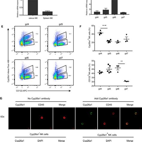 Verification Of Single Cell‐population Transcriptome Sequencing A Download Scientific