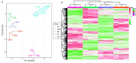 principal component analysis a and hierarchical cluster heatmap b