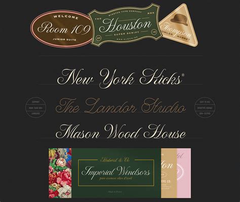 wt hilton script on behance