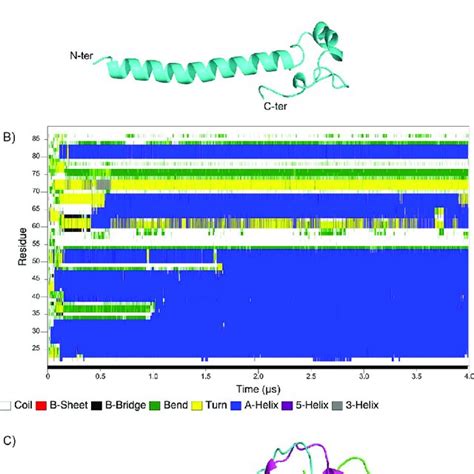 Reconstructed Meg 2 1 Isoform 1 Md Simulation A Isoform 1 Download Scientific Diagram