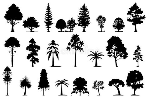 Trees And Forest Silhouettes Set Isolated Vector Illustration Stock Vector Illustration Of