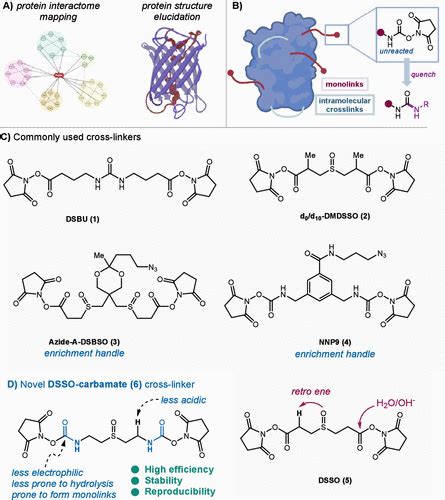 Rational Modification Of A Cross Linker For Improved Flexible Protein