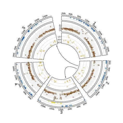Omics Integration Of Epiril573 Circular Plot Overlapping Data As