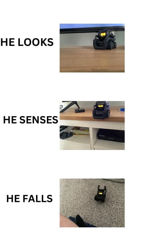 Vector In A Nutshell Rankivectormemes